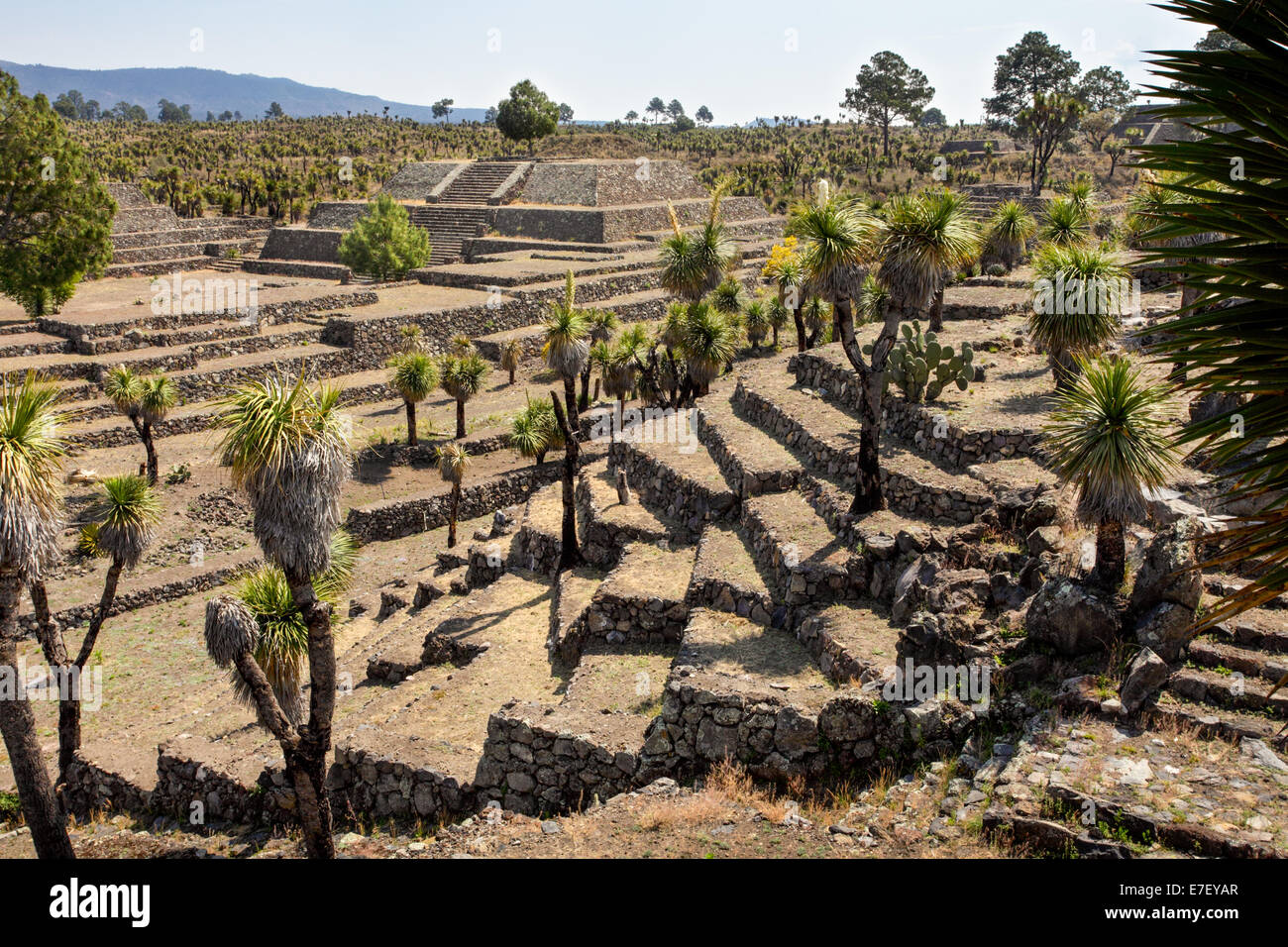 Pyramid and ruins of La Cantona, Puebla, Mexico Stock Photo - Alamy