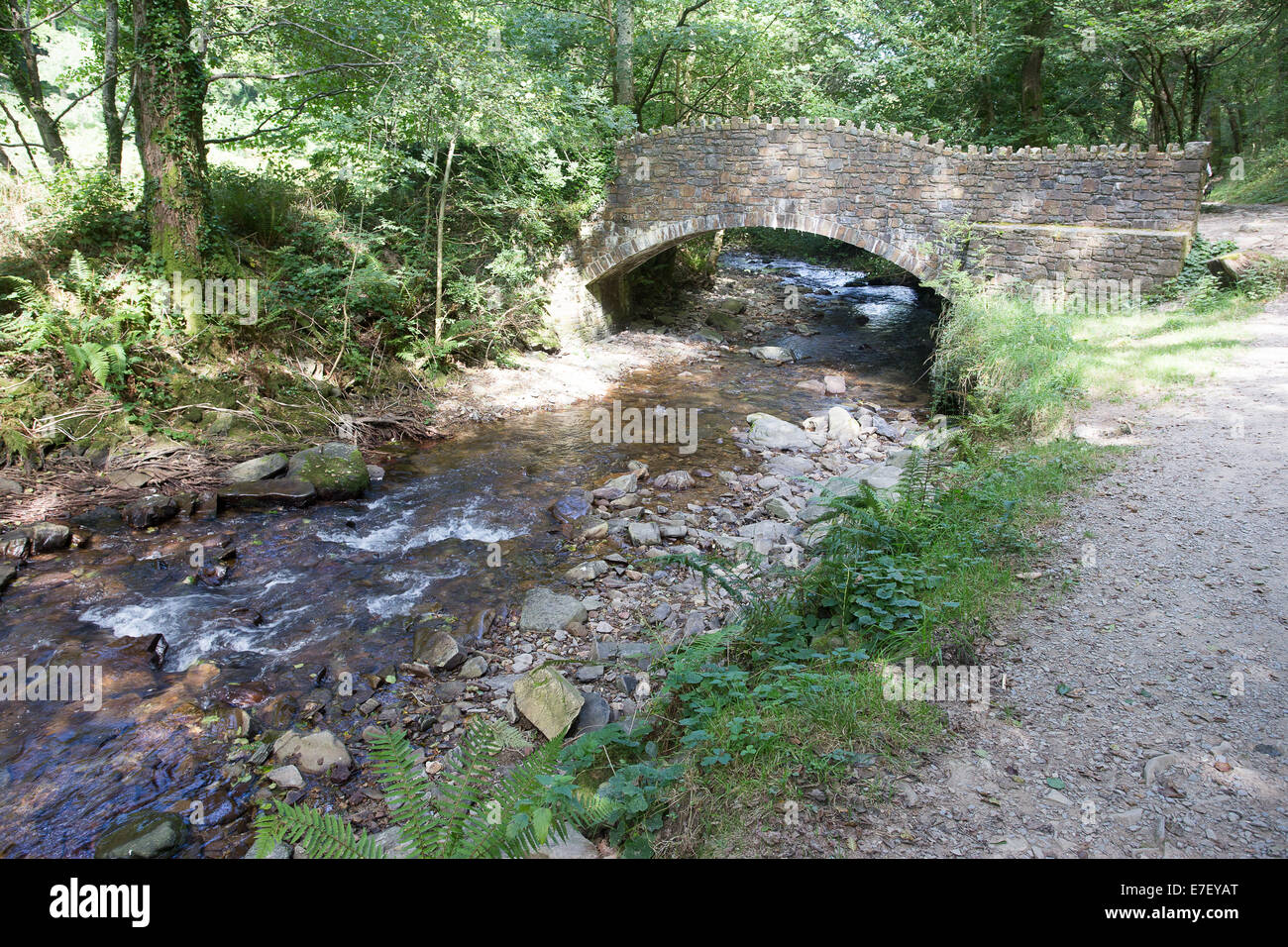 River Heddon Valley Exmoor Devon Stock Photo - Alamy