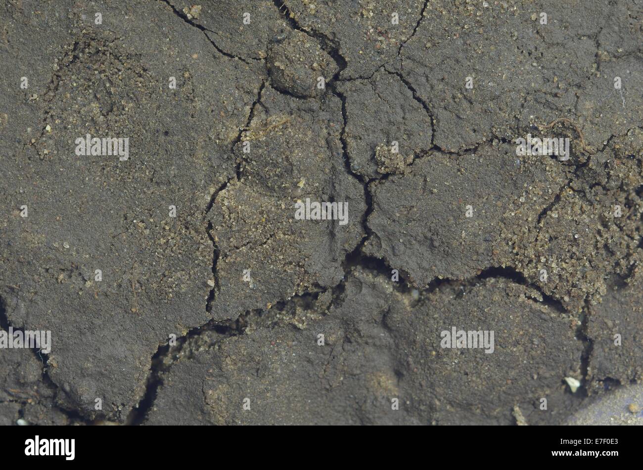 Drought soil arid dry dryness cracked hi-res stock photography and ...