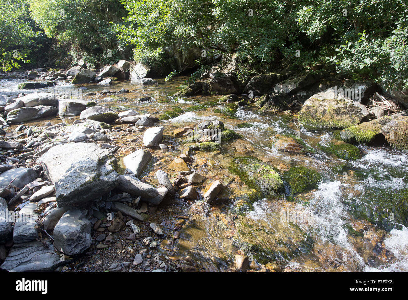 River Heddon Valley Exmoor Devon Stock Photo - Alamy