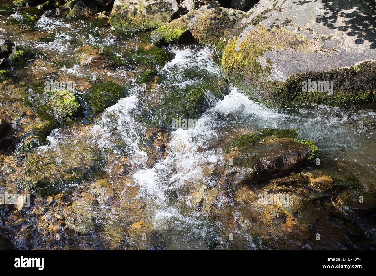 River Heddon Valley Exmoor Devon Stock Photo - Alamy