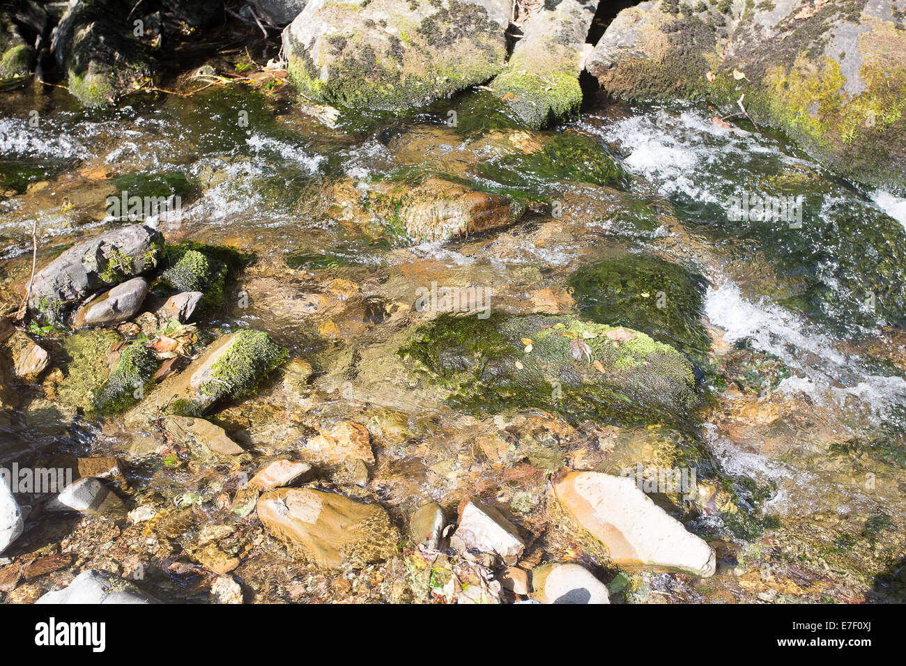River Heddon Valley Exmoor Devon Stock Photo - Alamy