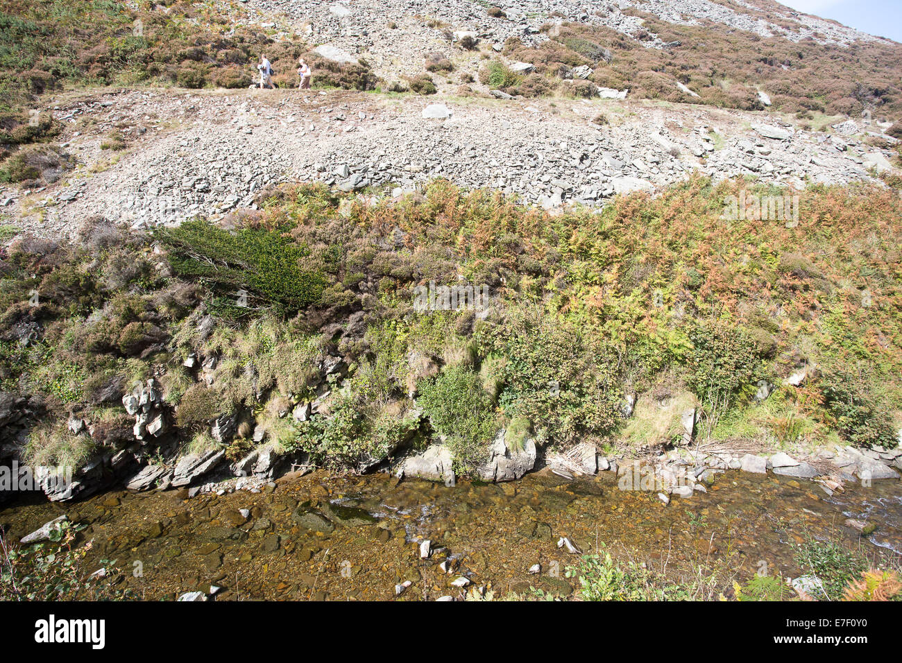 River Heddon Valley Exmoor Devon Stock Photo - Alamy