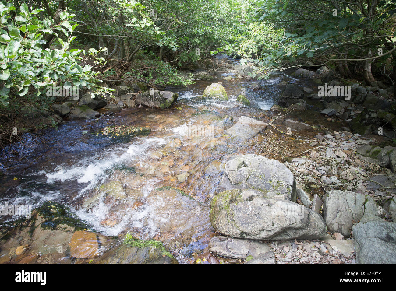 River Heddon Valley Exmoor Devon Stock Photo - Alamy