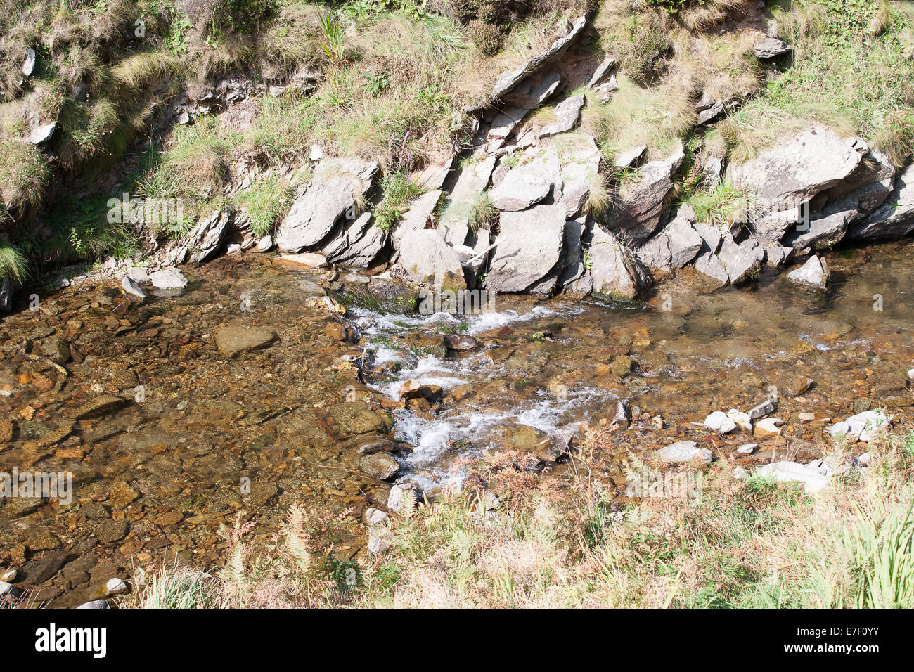 River Heddon Valley Exmoor Devon Stock Photo - Alamy