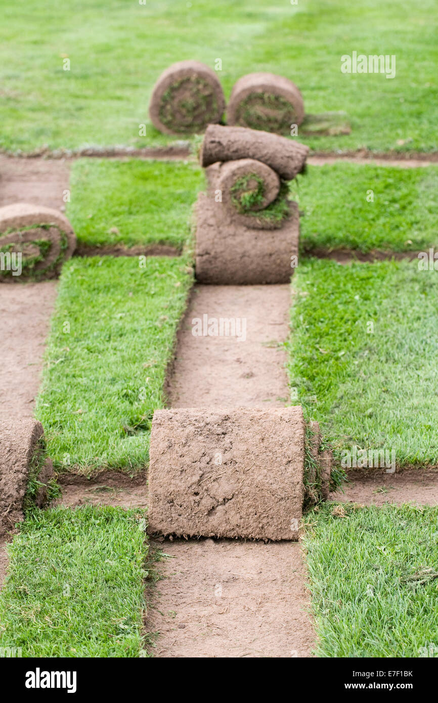 Rolls of turf ready for laying Stock Photo - Alamy