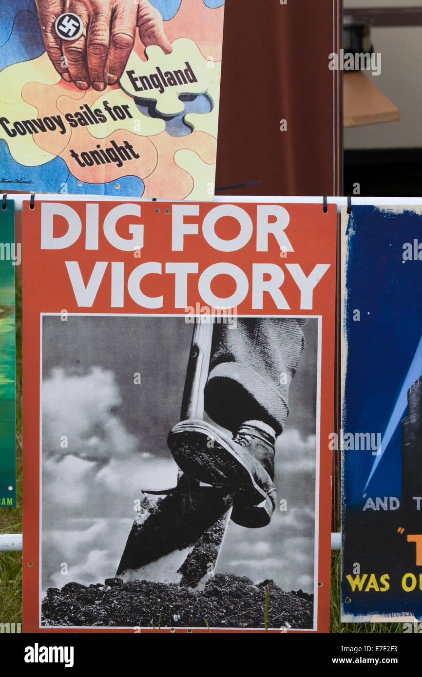 information sign Dig for victory your own vegetables all year round ...