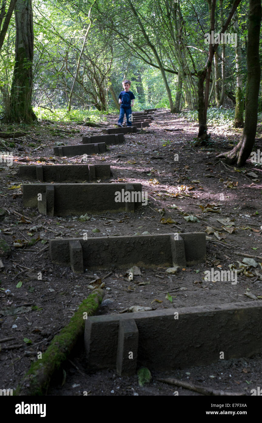 Steps in woods hi-res stock photography and images - Alamy