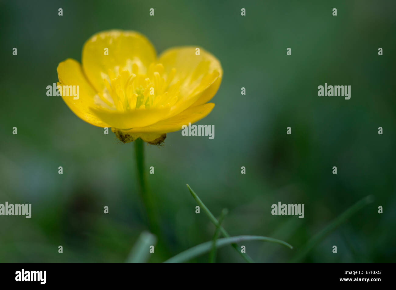 Anthony spratt hi-res stock photography and images - Alamy