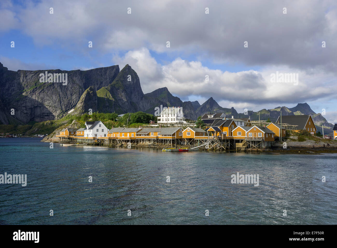 Rorbus High Resolution Stock Photography and Images - Alamy