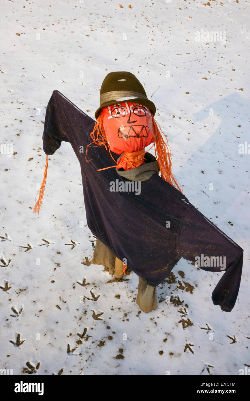 Scarecrow looking up, in the snow, Billwerder, Hamburg, Hamburg ...