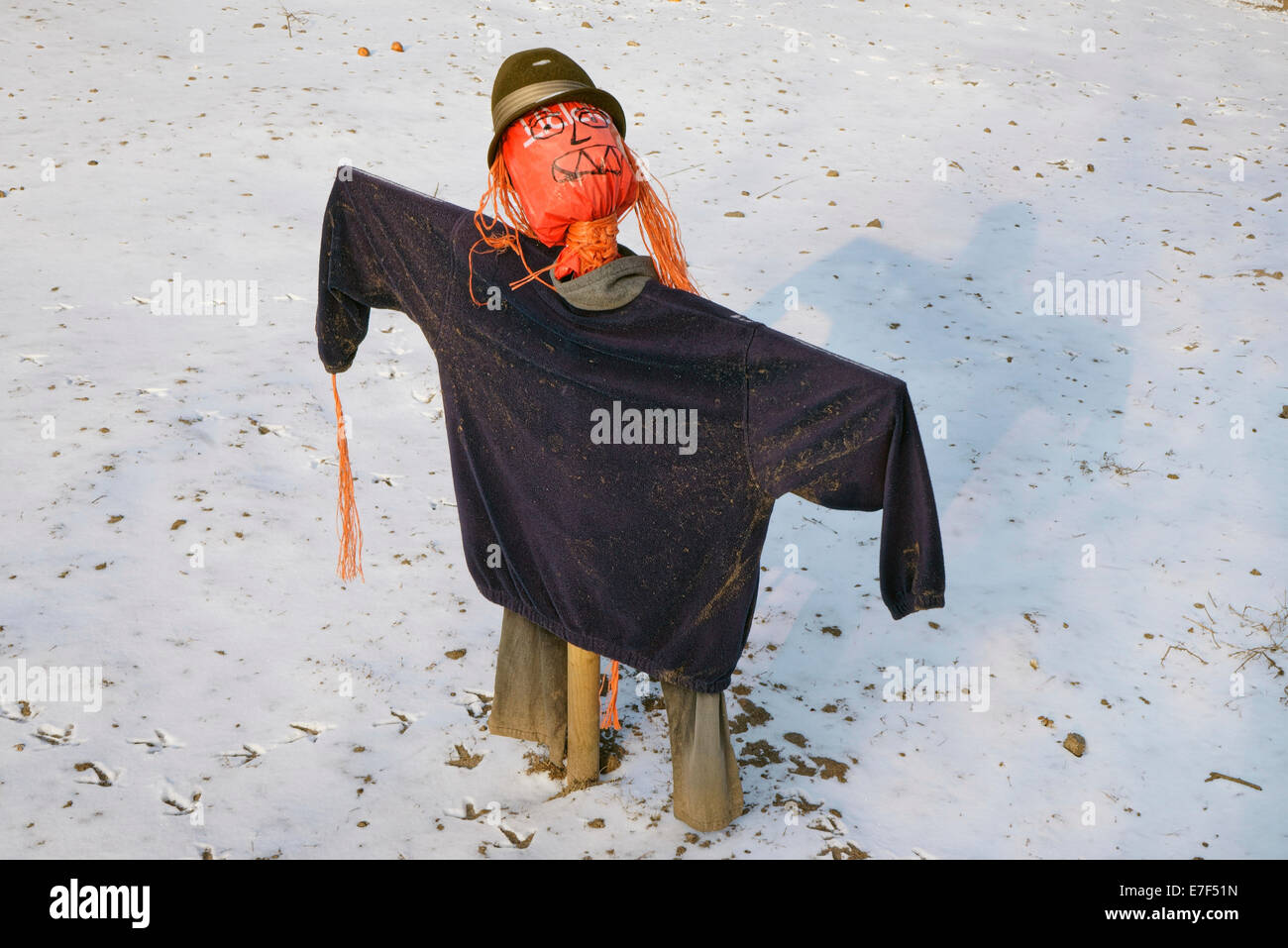 Human scarecrow hi-res stock photography and images - Alamy