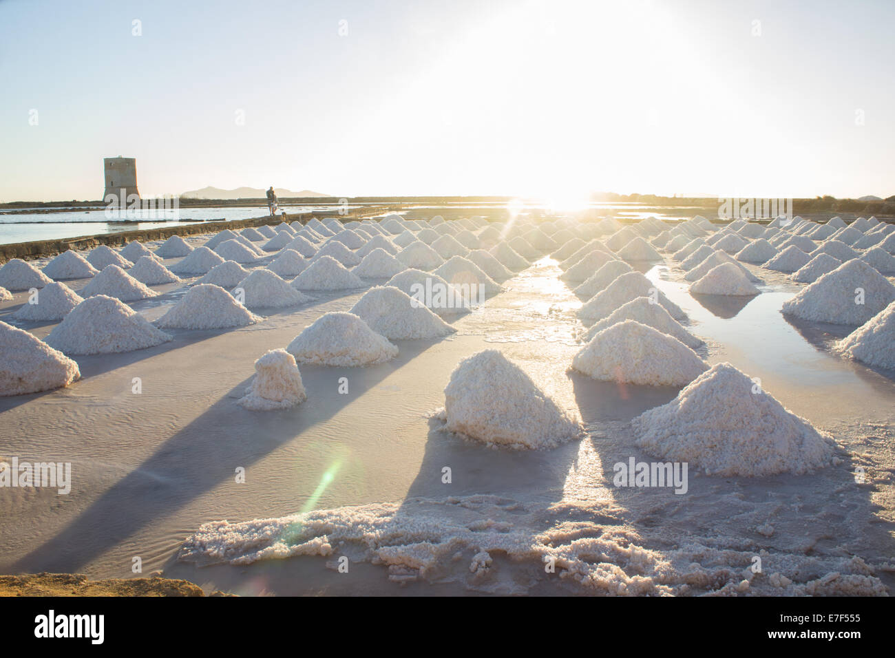 "sea salt" salt marsh sunset landscape nature dusk "copy space" nature ...