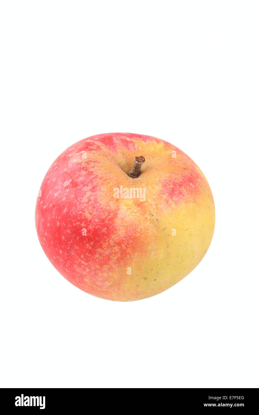 Apple, Roter Astrachan variety Stock Photo - Alamy