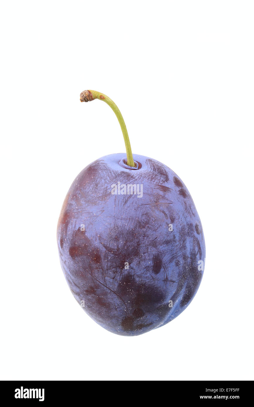Hanita hi-res stock photography and images - Alamy