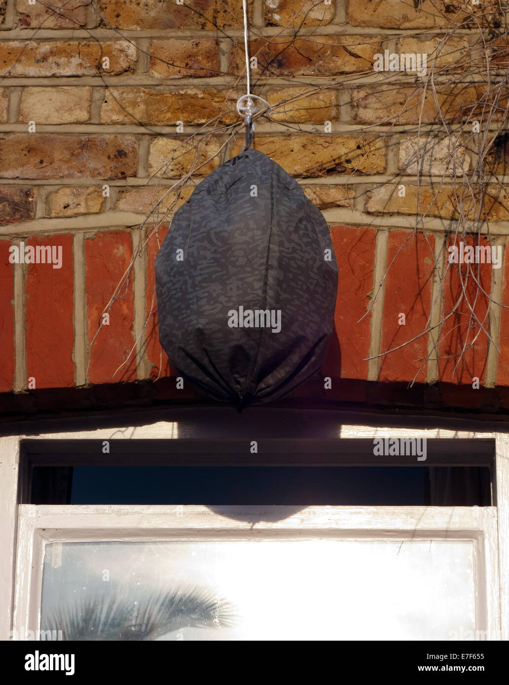 Waspinator deters wasps by mimicking genuine wasp nest outside London ...