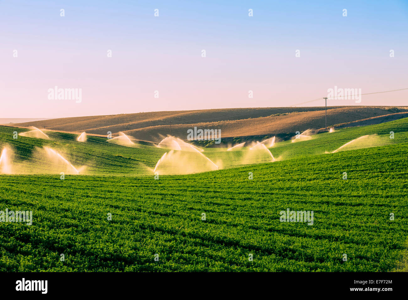 Watering the crop hi-res stock photography and images - Alamy
