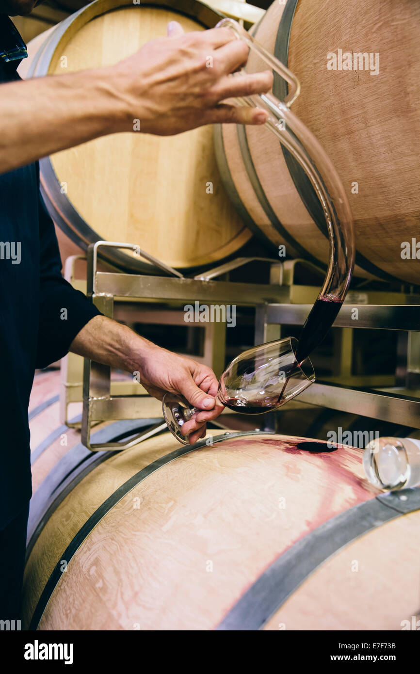 Man tasting wine cellar hi-res stock photography and images - Alamy