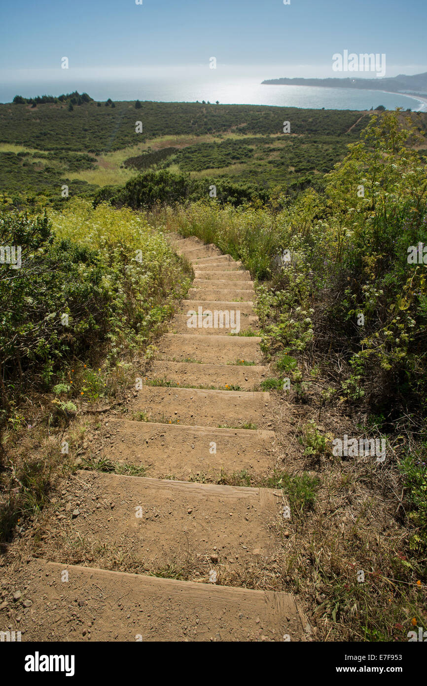 Steps on hillside hi-res stock photography and images - Alamy