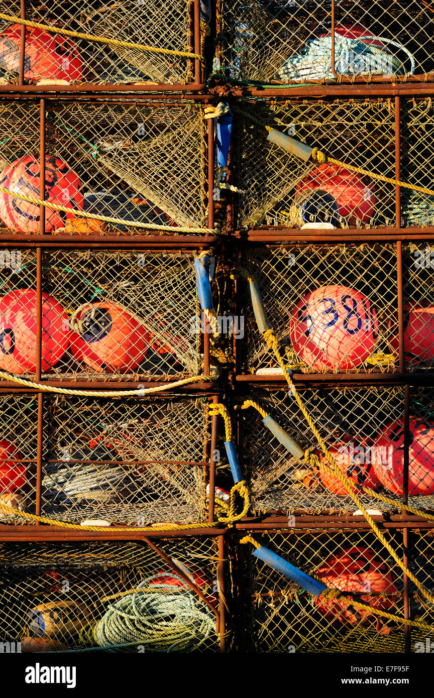 Net collar hi-res stock photography and images - Alamy
