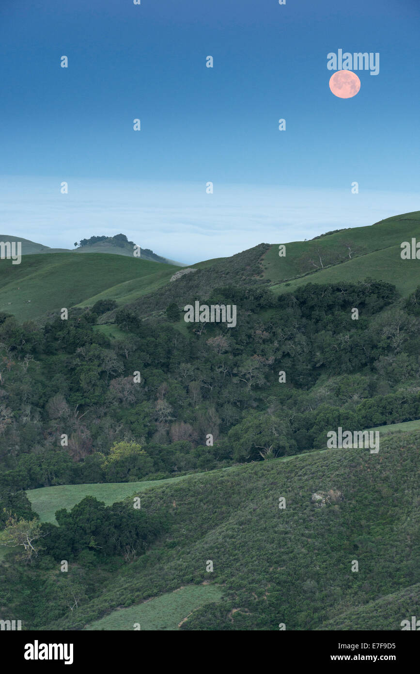 Sun rising over rural landscape Stock Photo - Alamy