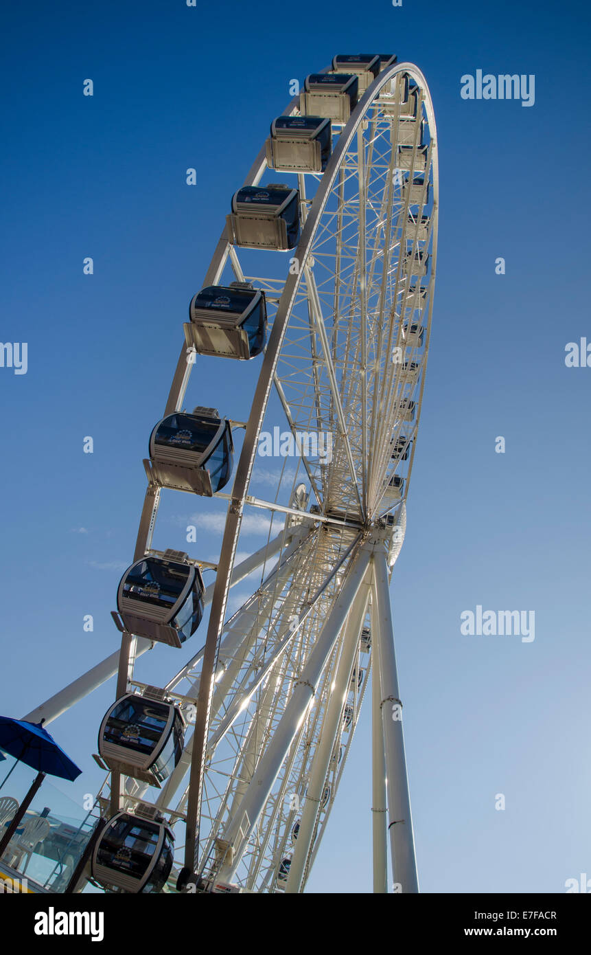 The Seattle Great Wheel Stock Photo - Alamy