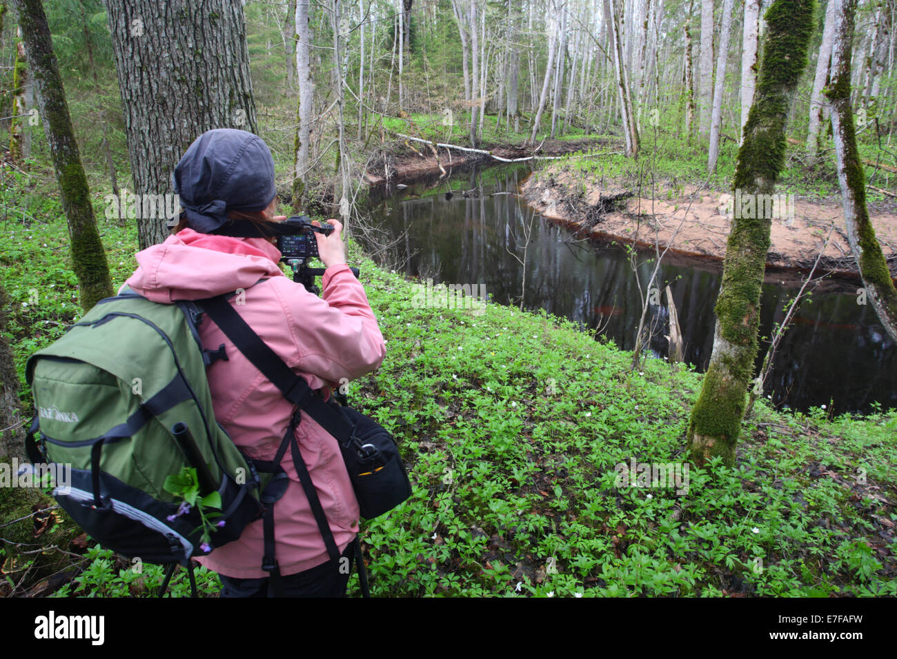 Woman taking a photo of Poruni river Stock Photo - Alamy