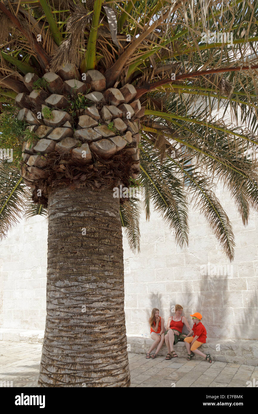 family resting underneath a palm tree, Rab Town, Rab Island, Kvarner ... family resting underneath a palm tree, Rab Town, Rab Island, Kvarner ...