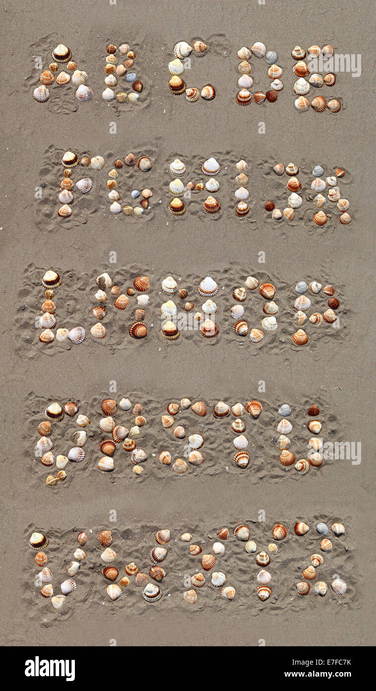 Alphabet letters laid out from sea shells on beach sand Stock Photo - Alamy