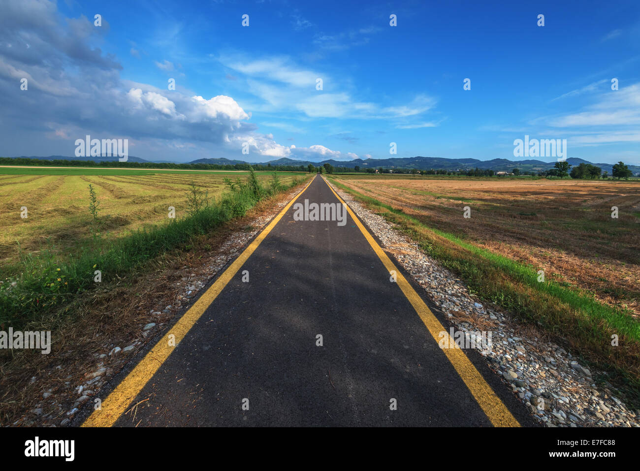 bicycle and pedestrian road in summer field Stock Photo - Alamy