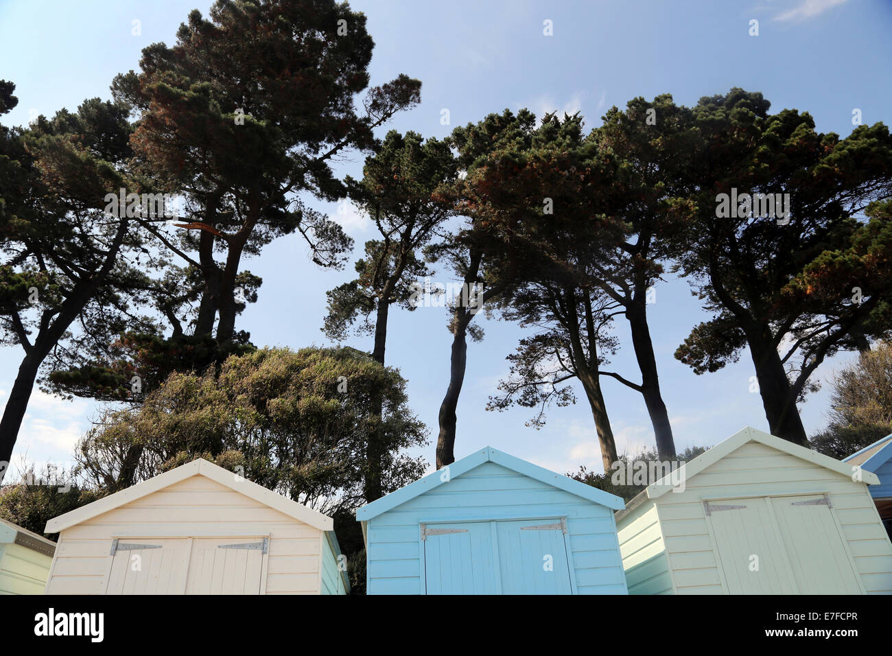 Beach Huts And Trees On Avon Beach Mudeford Dorset England Stock Photo ...