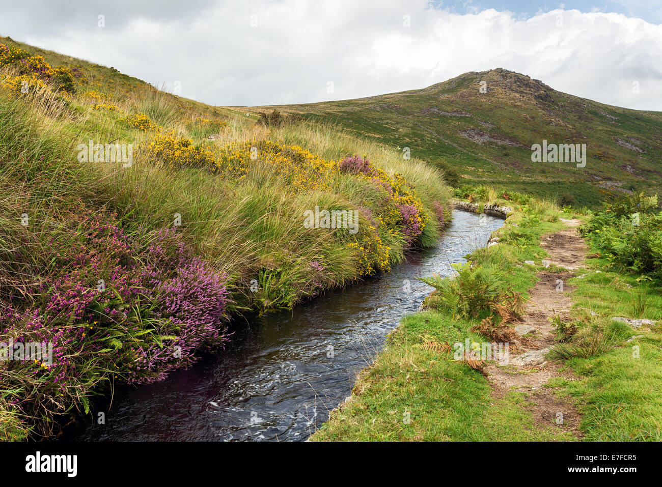 Wheal friendship hi-res stock photography and images - Alamy