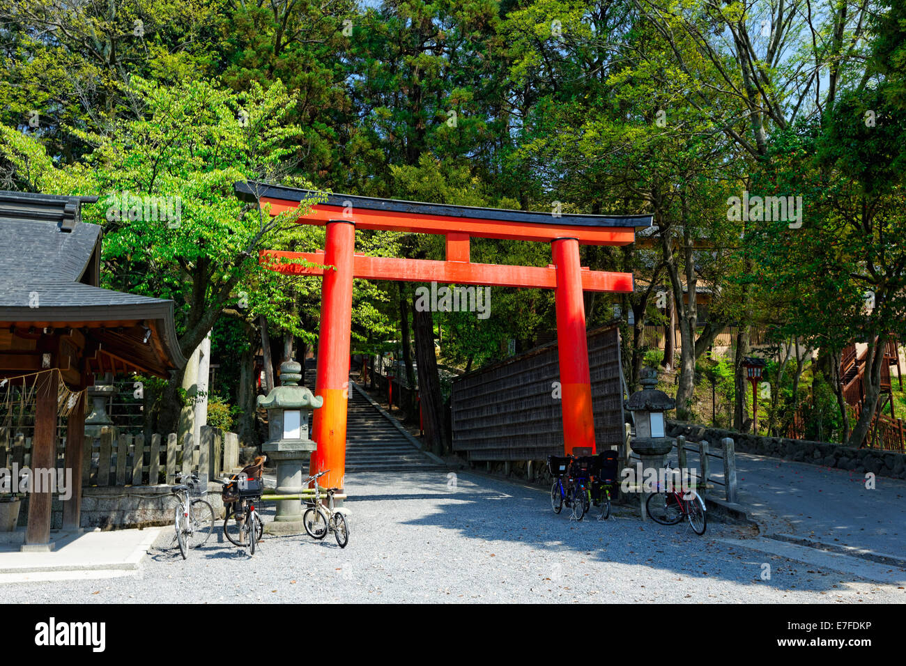 Nagoya forest hi-res stock photography and images - Alamy