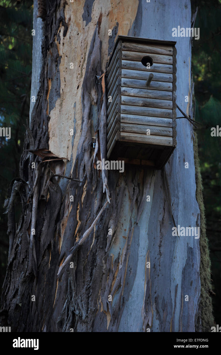 Animal shelter home africa hi-res stock photography and images - Alamy