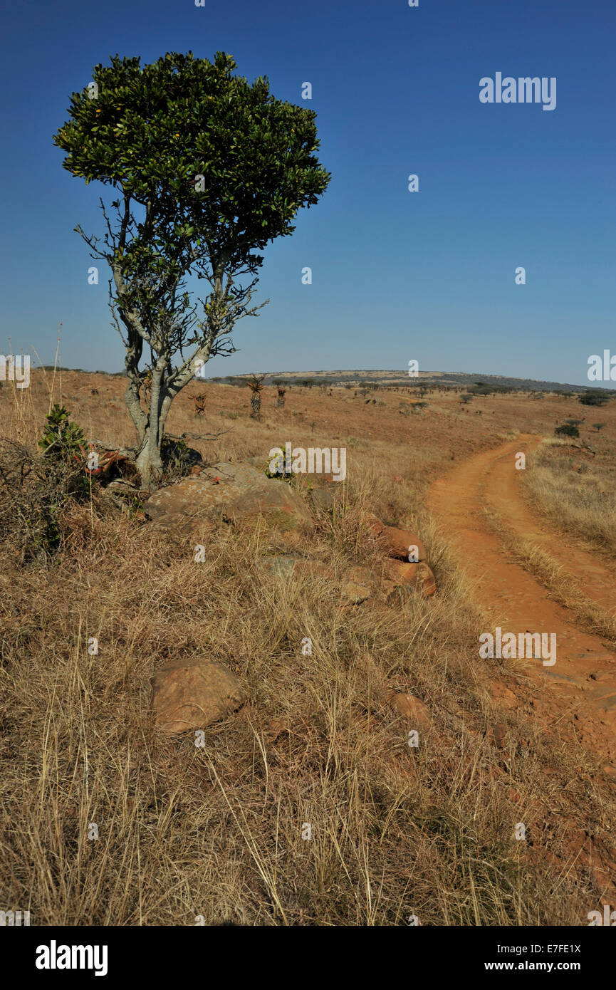 Africa overland hi-res stock photography and images - Alamy