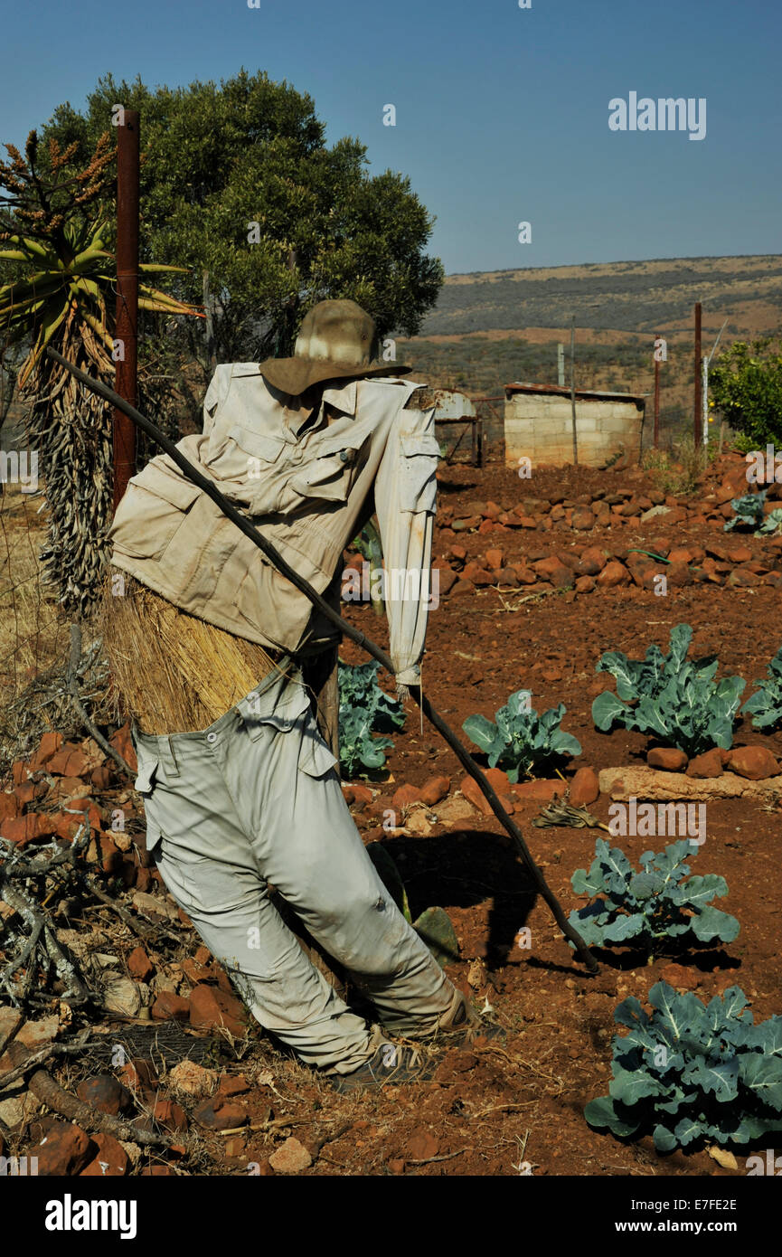 Gluckstad, KwaZulu-Natal, South Africa, ragged scarecrow in country ...