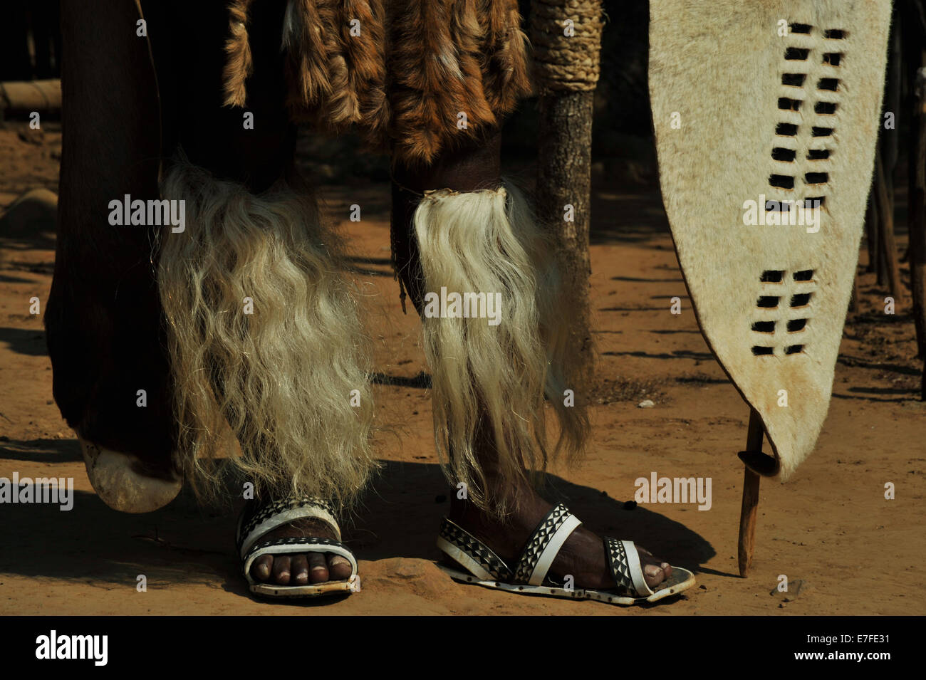 Eshowe, KwaZulu-Natal, South Africa, Amashoba, white tufts of cows tail ...
