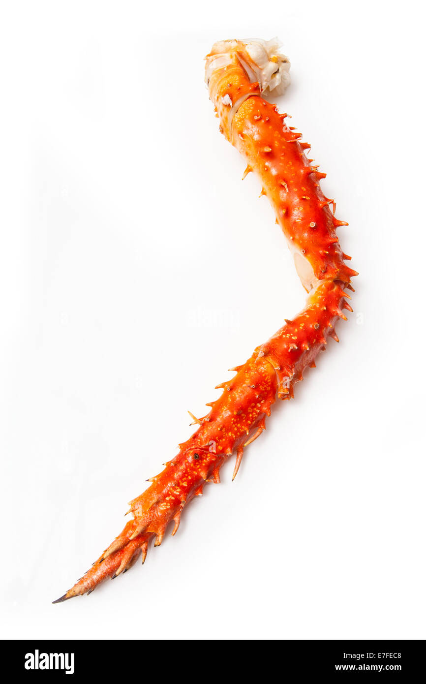 Cooked Peruvian Southern King crab leg (Lithodes Santolla ) isolated on ...