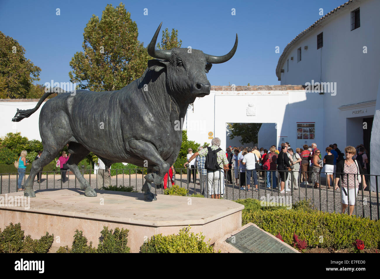 The Toro de Lidia at the Plaza deToros at Ronda Stock Photo - Alamy