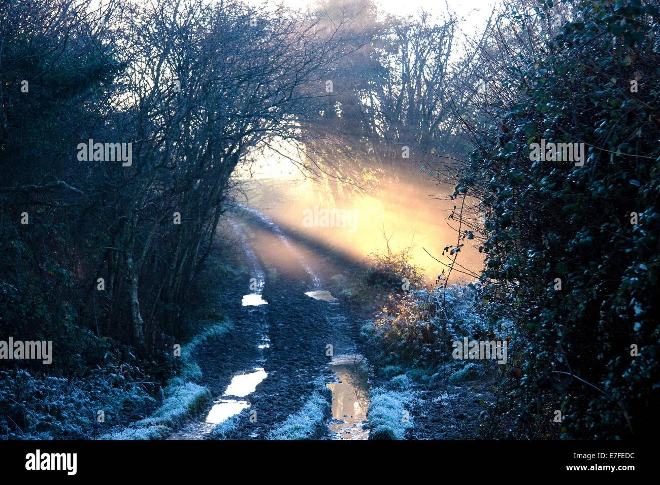 Puddle in country lane hi-res stock photography and images - Alamy