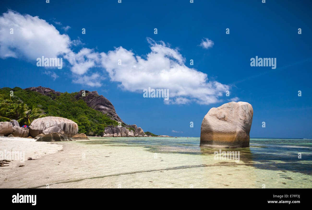 Rock tropical vegetation on hi-res stock photography and images - Alamy
