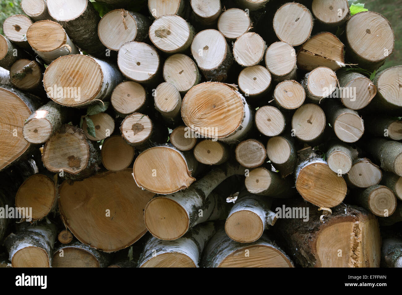 Close-up of big wood stack for background Stock Photo - Alamy