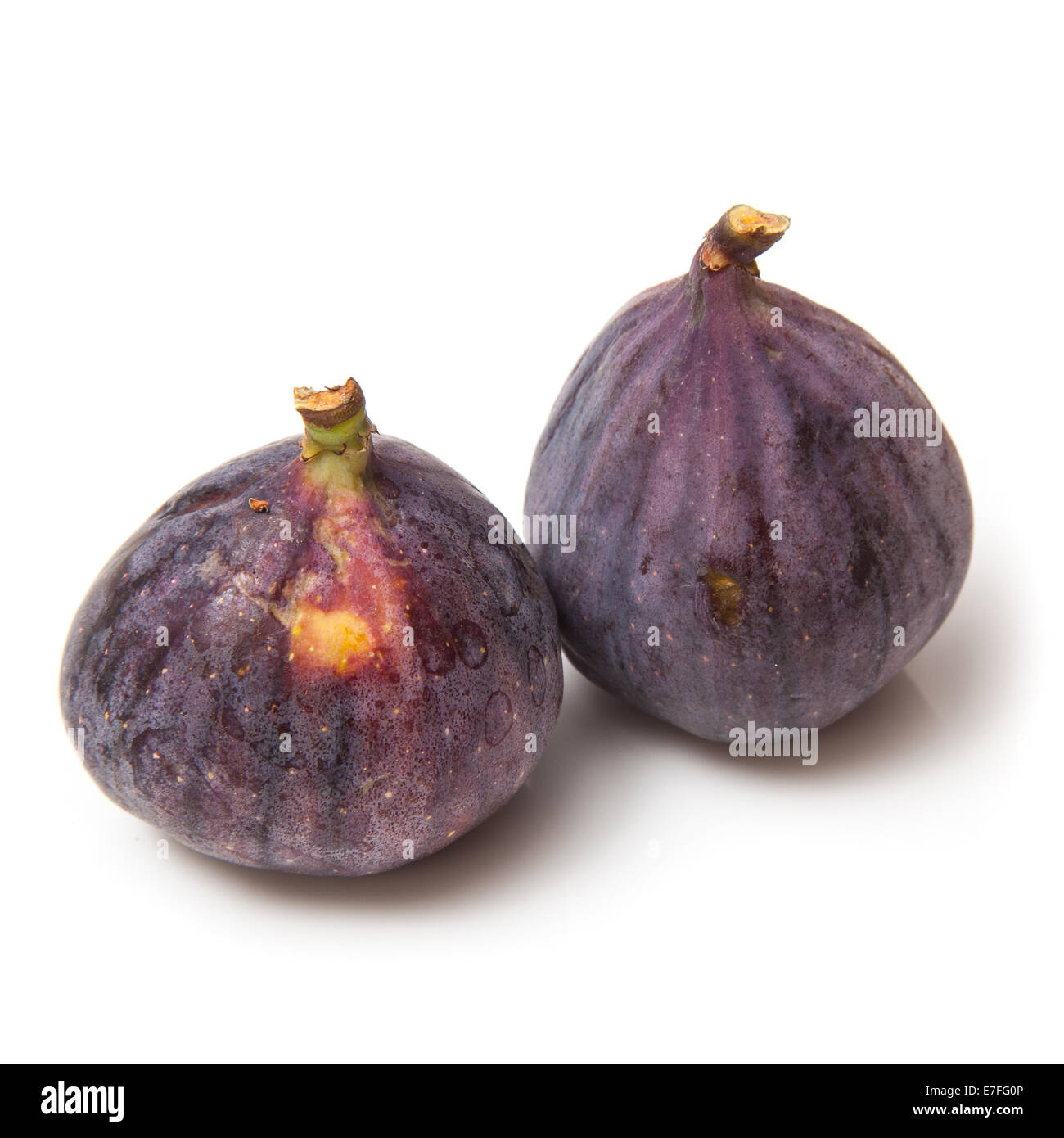 Fresh Turkish figs isolated on a white studio background Stock Photo ...