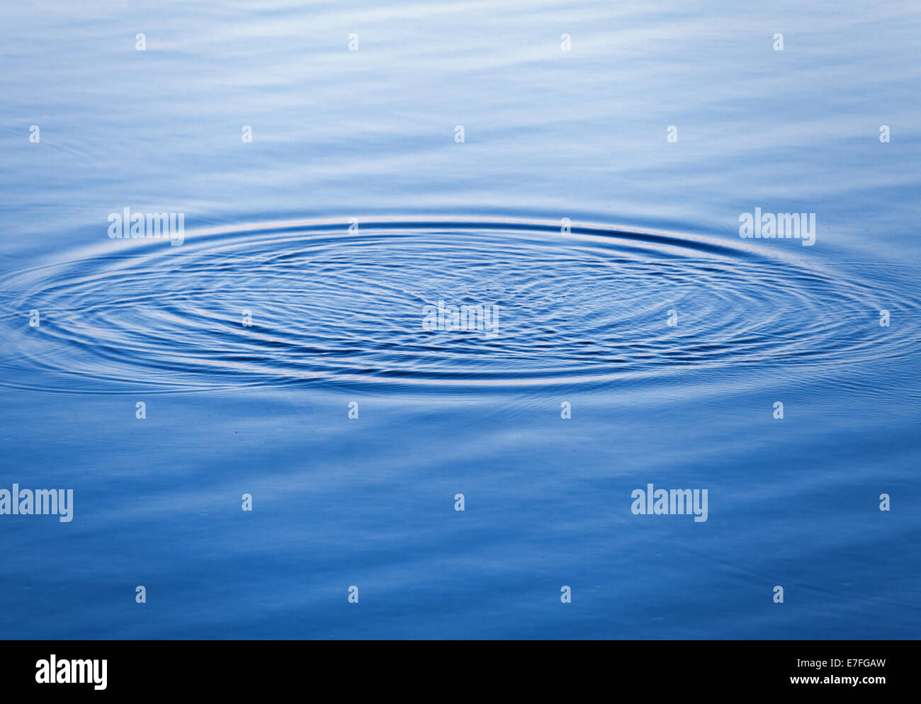 Concentric circles in nature hi-res stock photography and images - Alamy