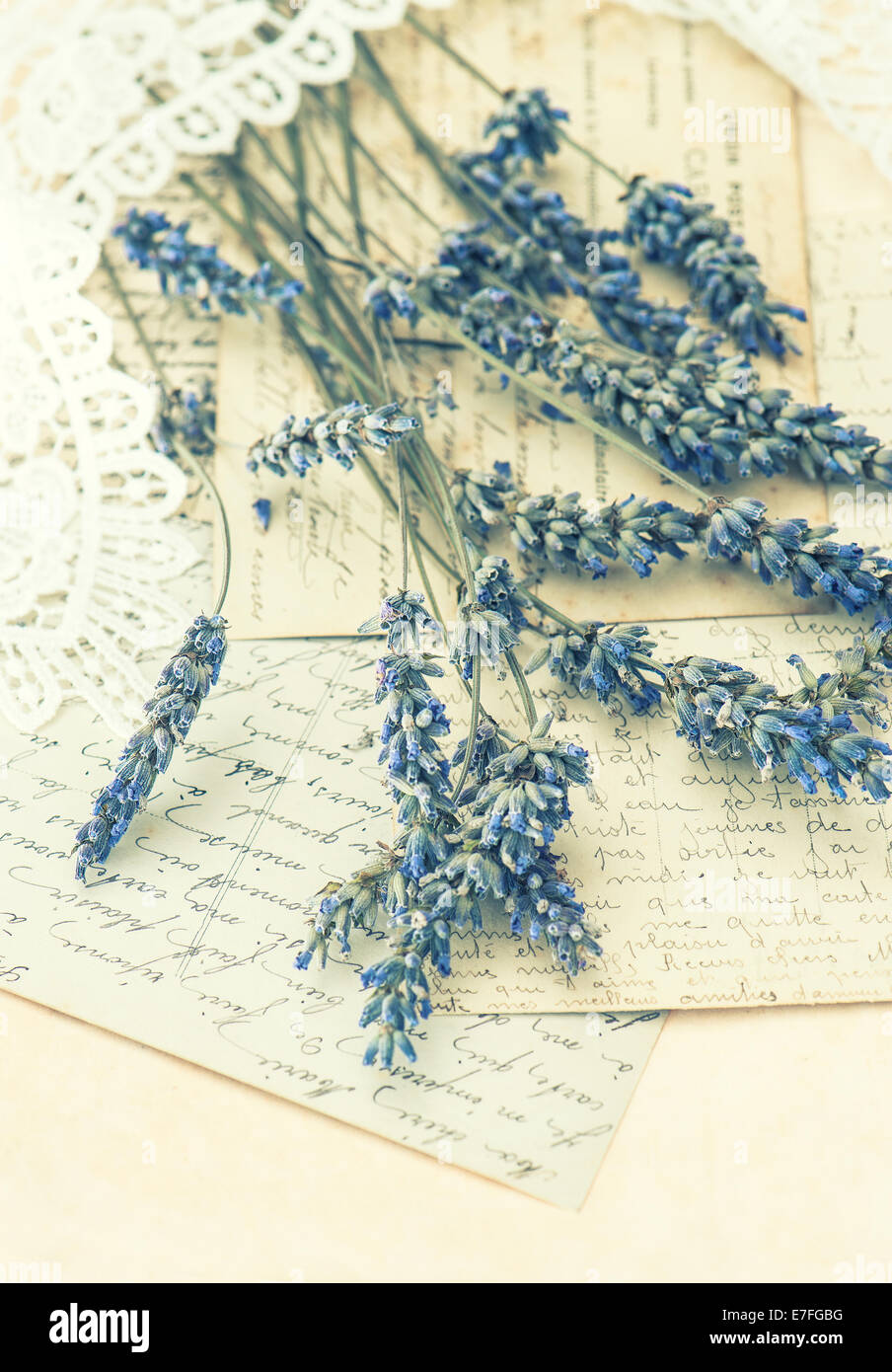 dried lavender flowers, lace and old love letters. nostalgia. retro ...