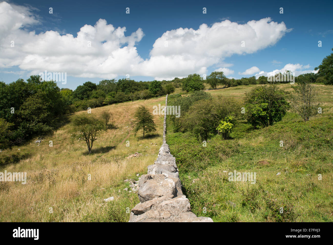 Dry stone wall disappearing into the distance Stock Photo - Alamy