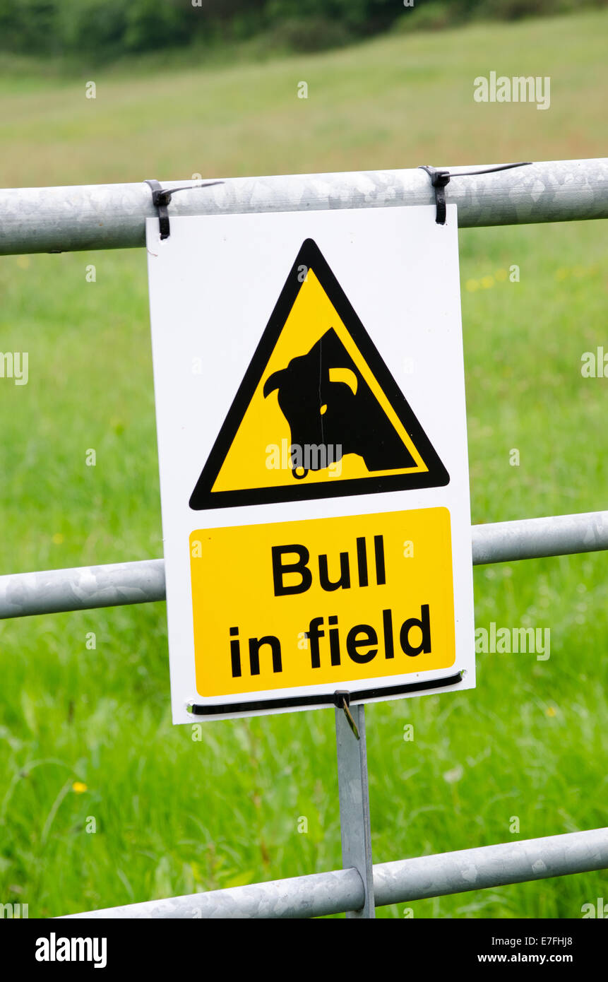 Bull in field warning sign on gate Stock Photo - Alamy