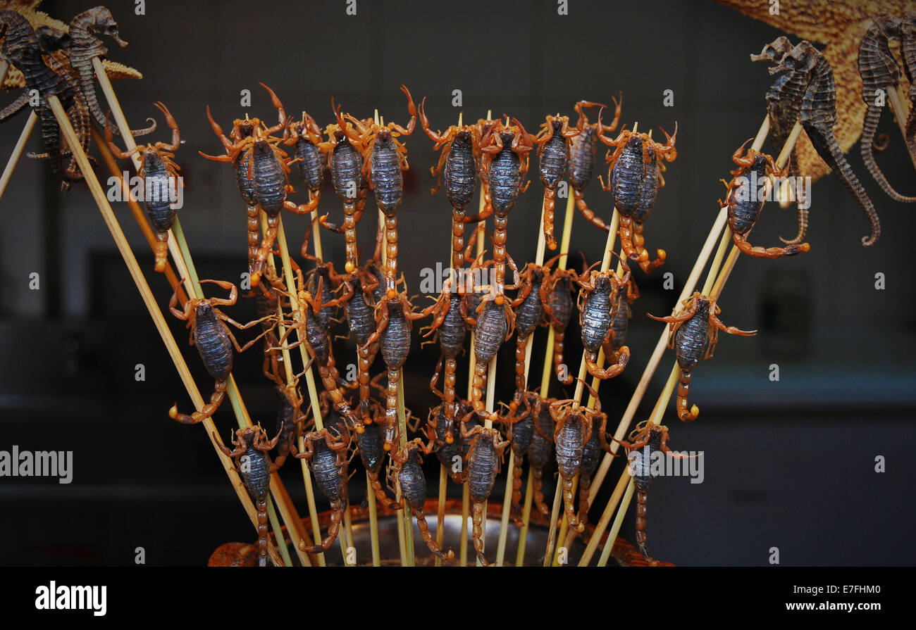 Seahorse and scorpions hi-res stock photography and images - Alamy