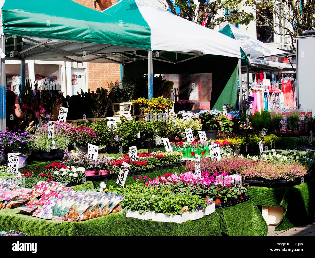 Plant stall hi-res stock photography and images - Alamy