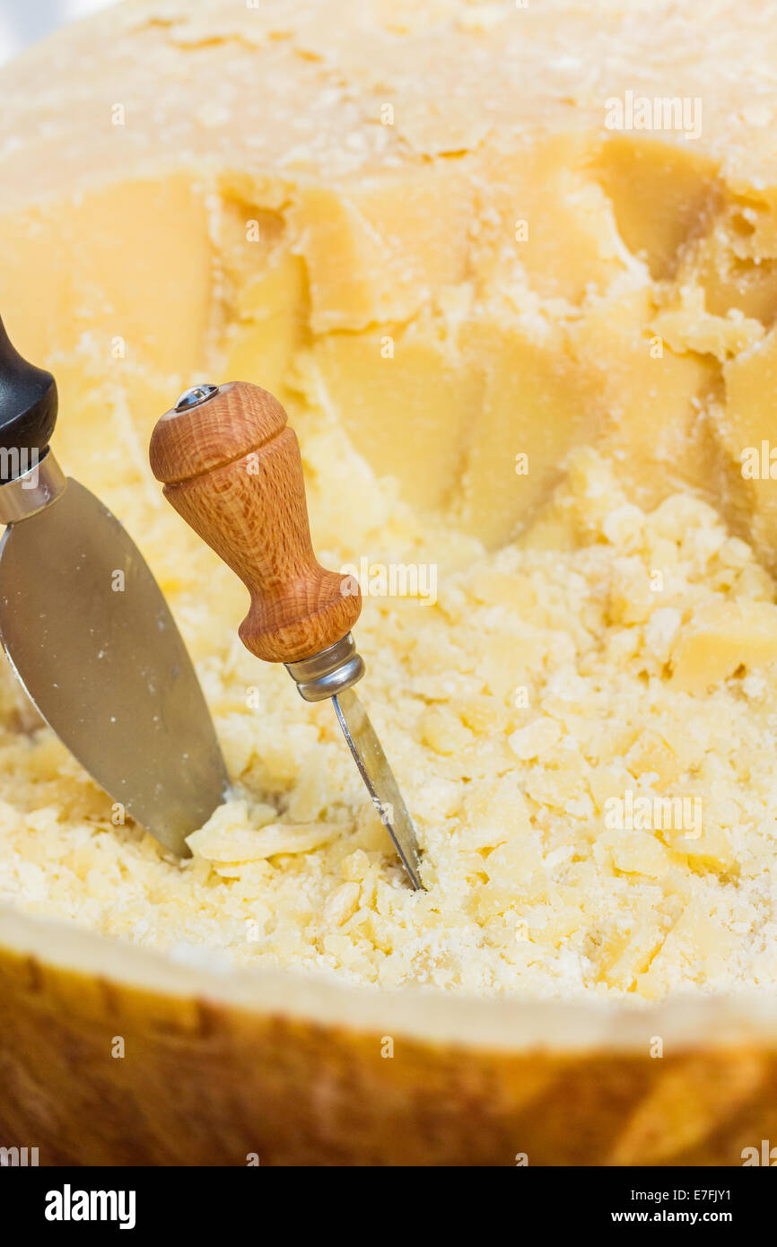 Sample cheese hi-res stock photography and images - Alamy
